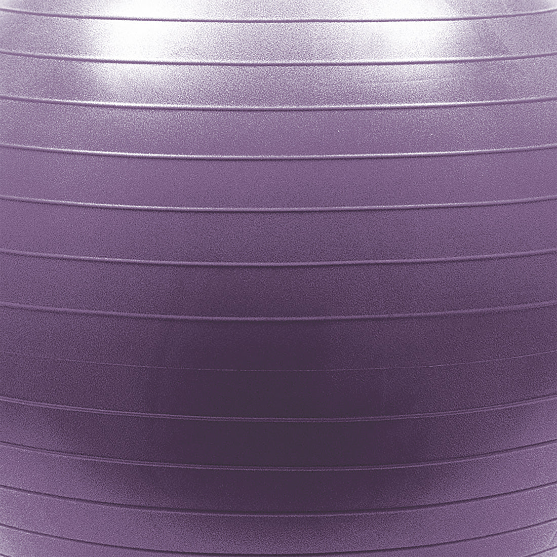 PRO Burst Resistant Exercise Ball | Escalade Sports