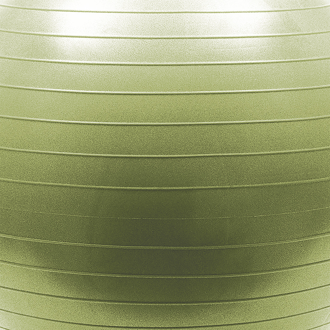 PRO Burst Resistant Exercise Ball | Escalade Sports